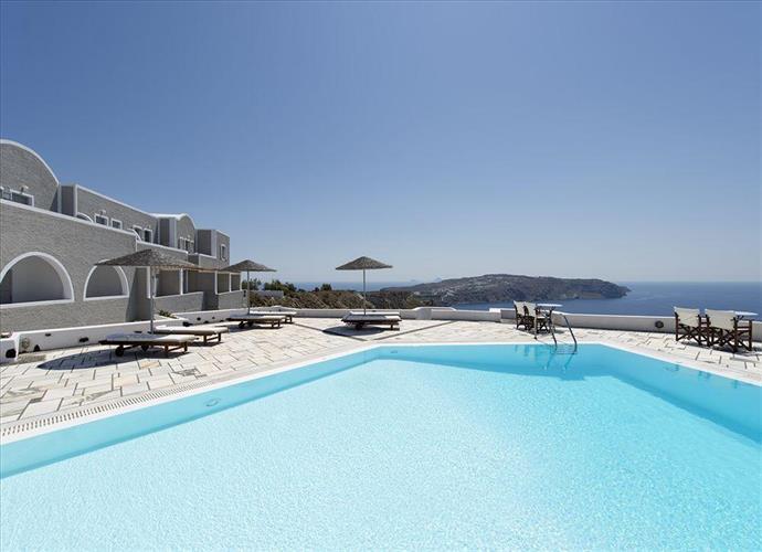 Caldera's Dolphin in Santorini, Greece | SNO